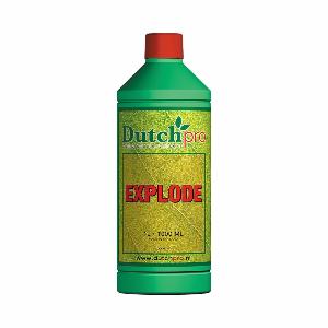 Dutch Pro Explode